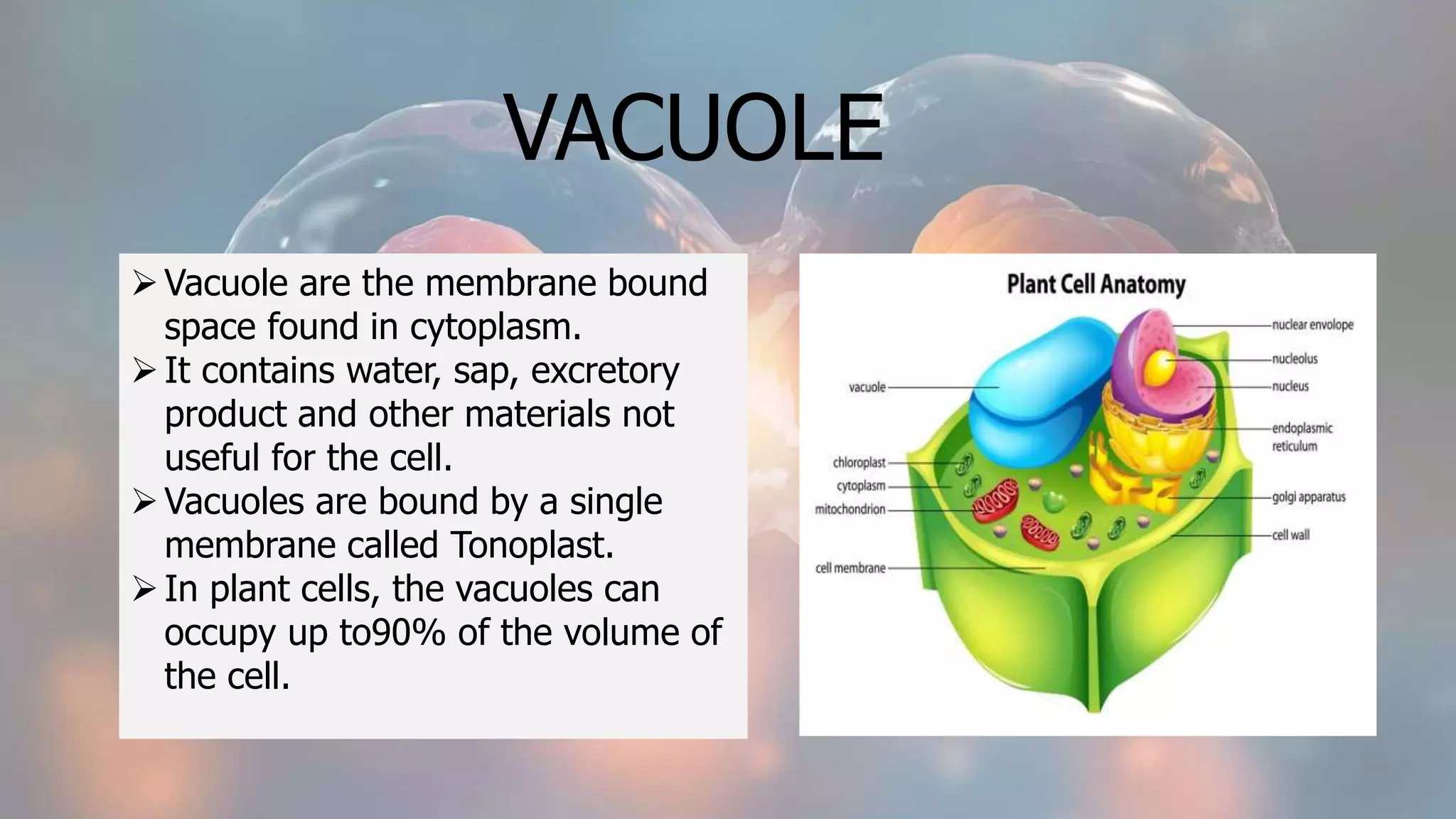 Class 9th ch 5 The Fundamental Unit Of Life[1].pptx