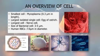 Class 9th ch 5 The Fundamental Unit Of Life[1].pptx