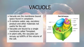 Class 9th ch 5 The Fundamental Unit Of Life[1].pptx