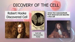 Class 9th ch 5 The Fundamental Unit Of Life[1].pptx