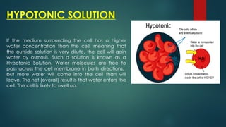 class 9th ch cell.pptx by harsh goyal () | PPTX