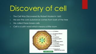 class 9th ch cell.pptx by harsh goyal () | PPTX