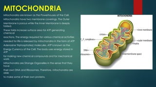 class 9th ch cell.pptx by harsh goyal () | PPTX