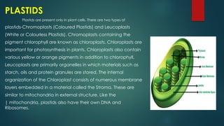class 9th ch cell.pptx by harsh goyal () | PPTX