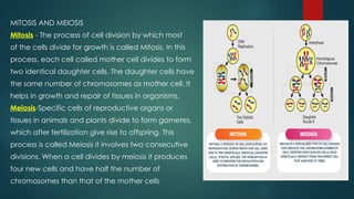 class 9th ch cell.pptx by harsh goyal () | PPTX