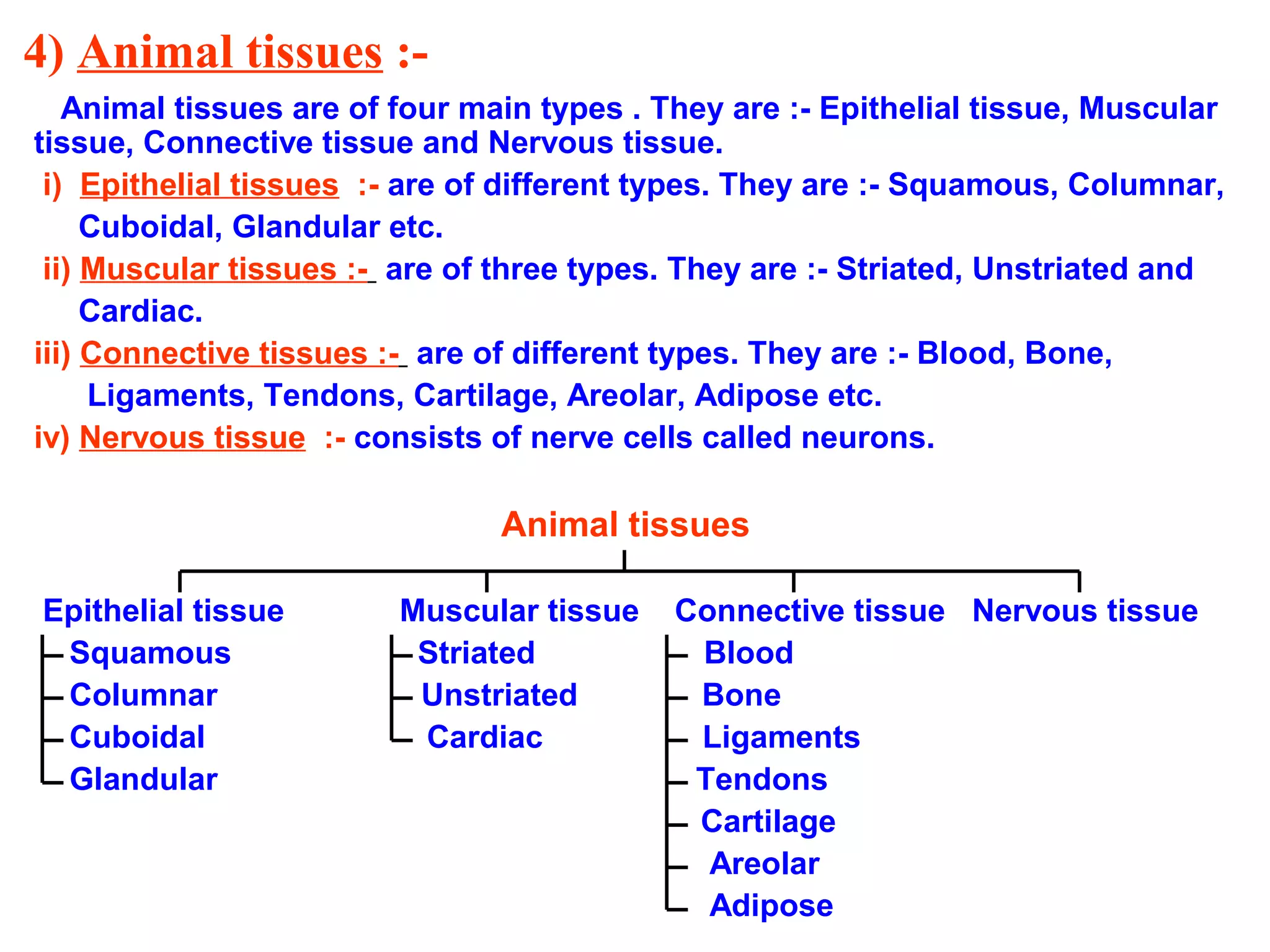 Class 9 tissue chapter 6 | PPT
