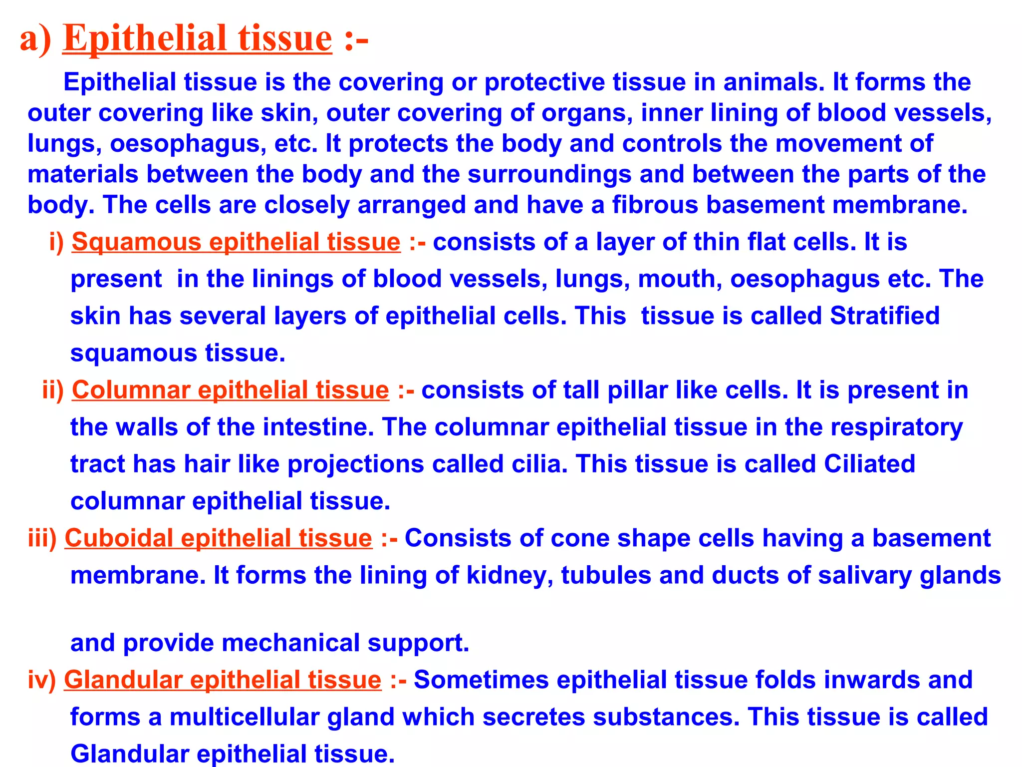 Class 9 tissue chapter 6 | PPT