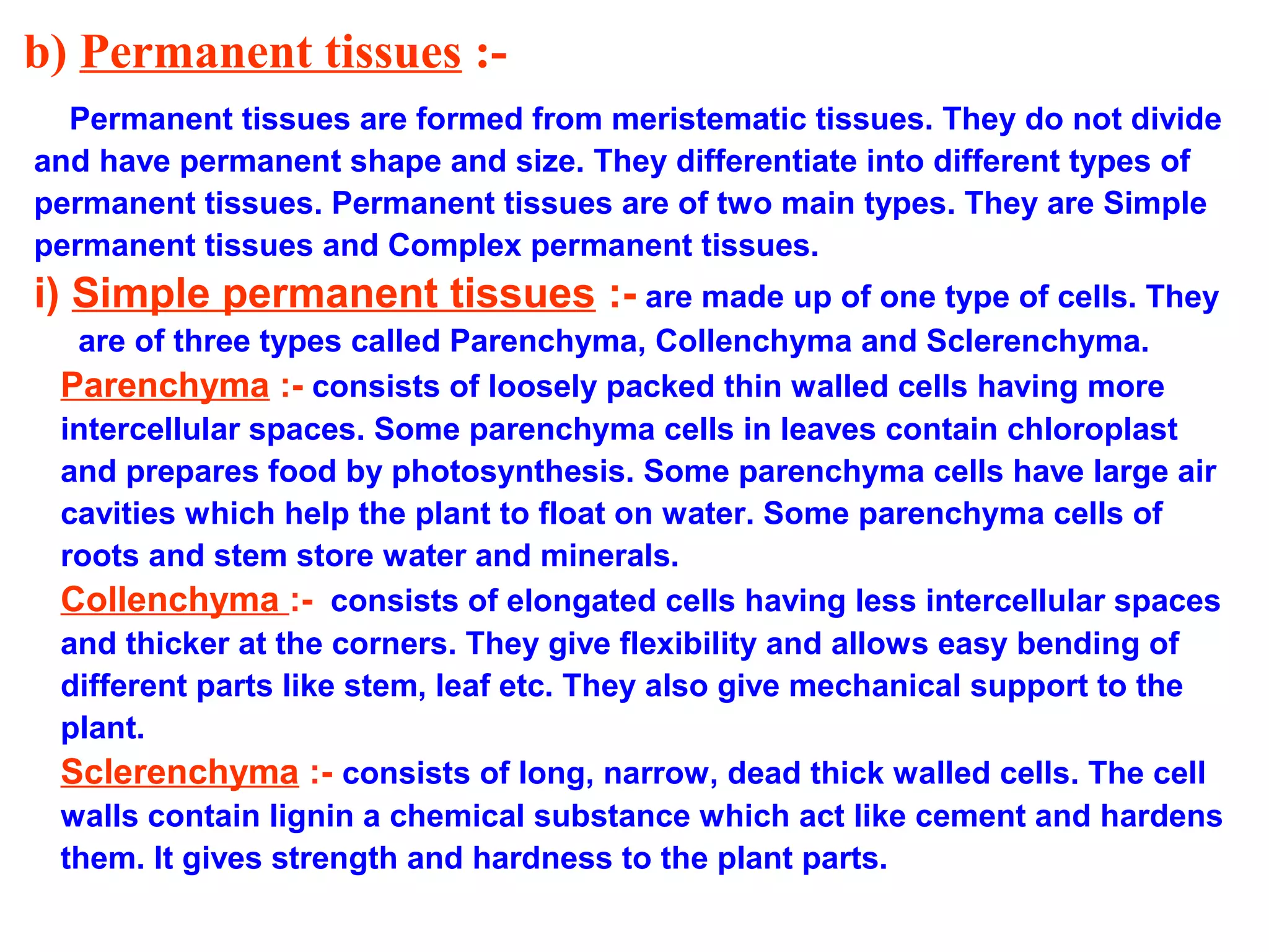 Class 9 tissue chapter 6 | PPT