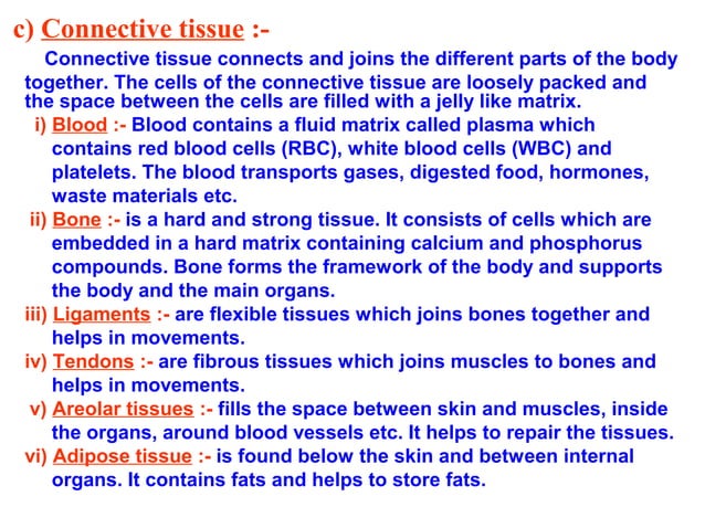 Class 9 tissue chapter 6 | PPT