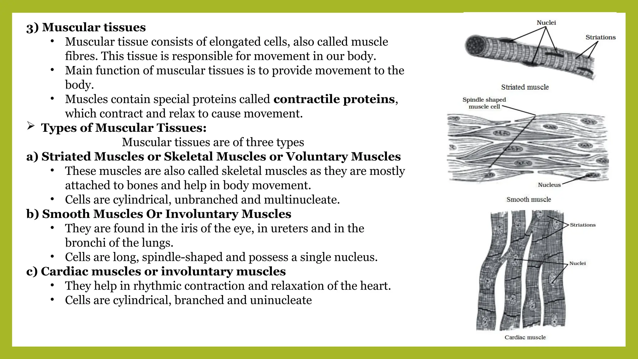 Ch6 Tissues-Class 9-Biology-Science-NCERT-CBSE.pptx