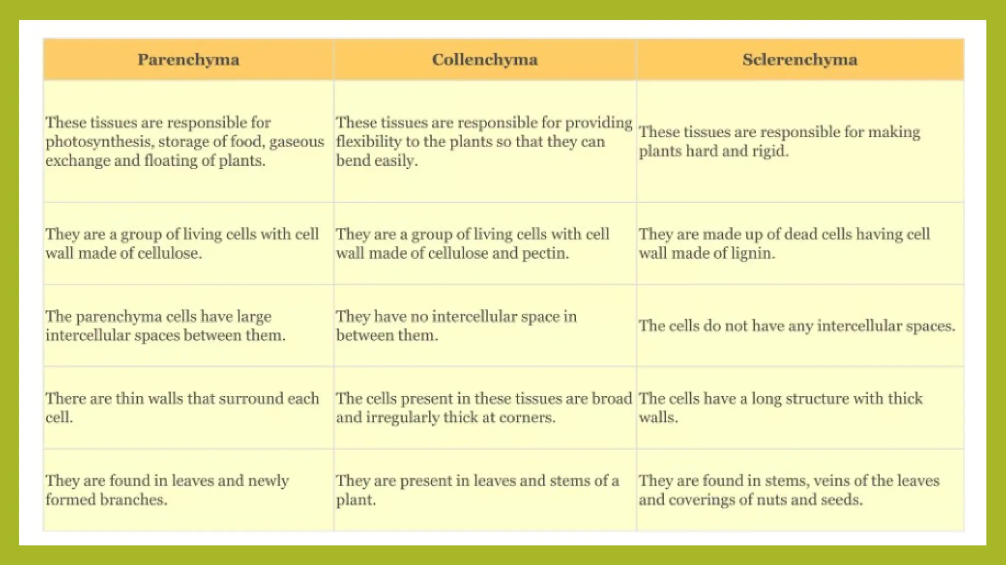 Ch6 Tissues-Class 9-Biology-Science-NCERT-CBSE.pptx