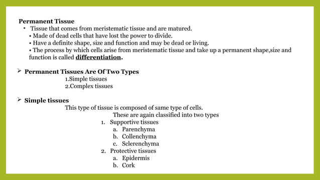 Ch6 Tissues-Class 9-Biology-Science-NCERT-CBSE.pptx