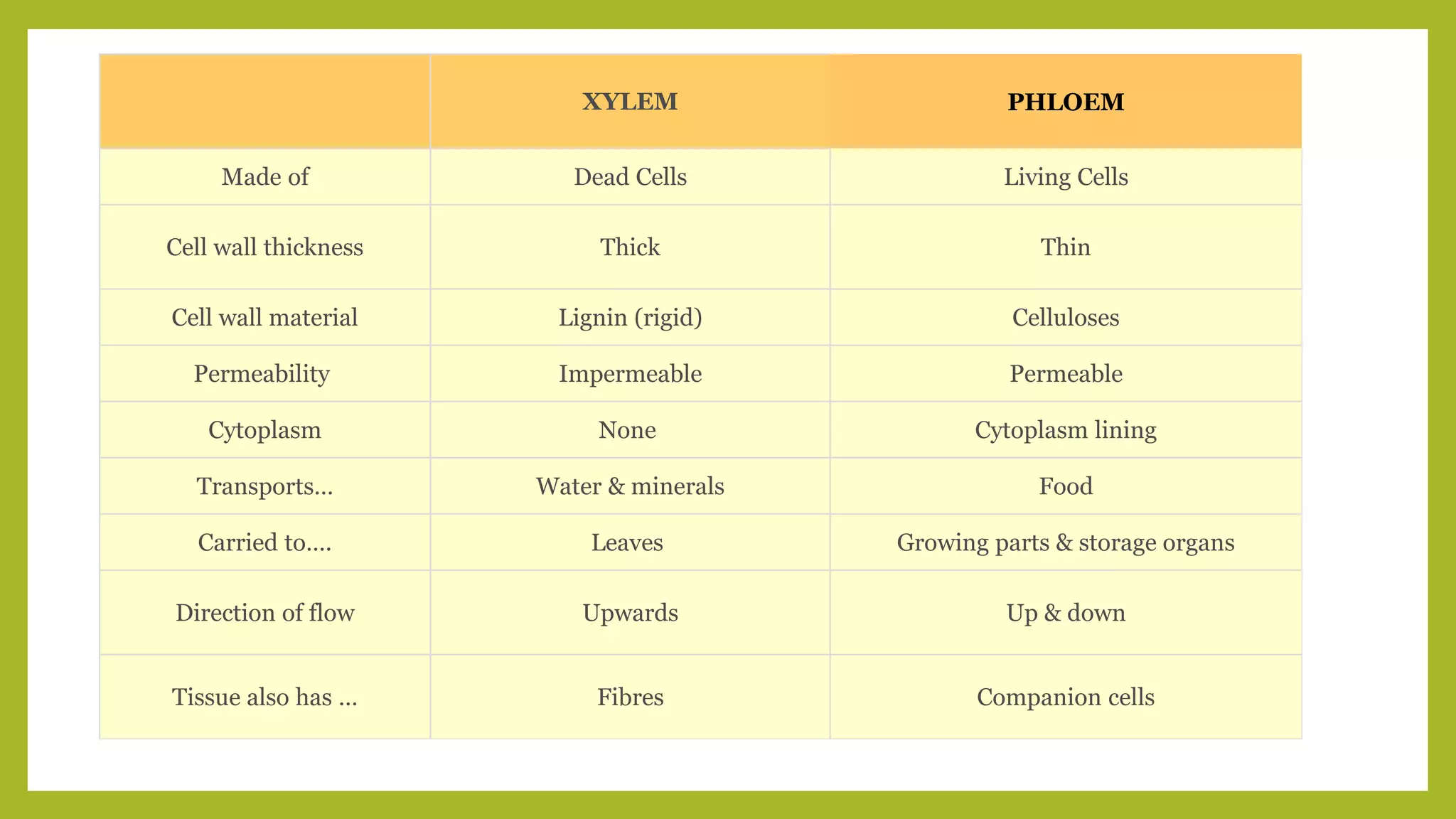 Class 9 tissues | PPTX