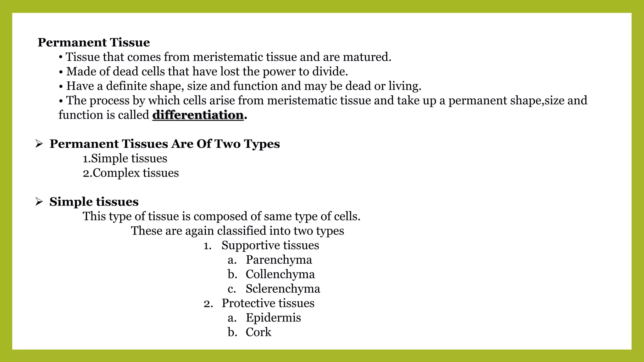 Class 9 tissues | PPTX