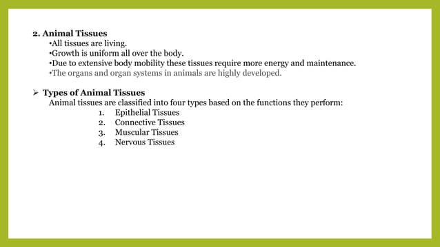 Class 9 tissues | PPTX