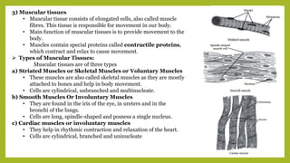 Class 9 tissues | PPTX