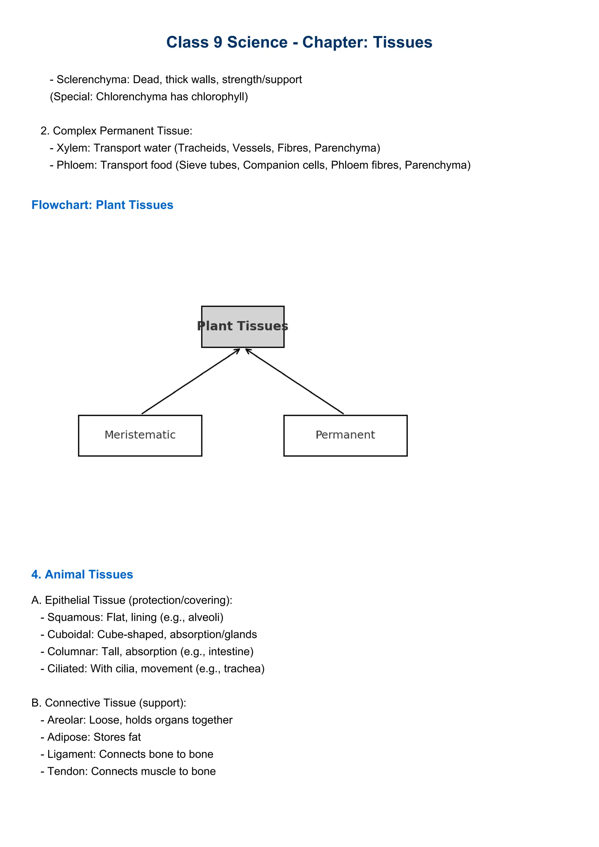 Class9_Tissues_Stylish_Notes.pdfforstudents | PDF