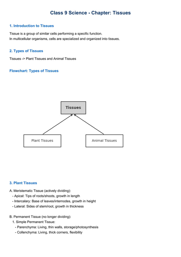 Class9_Tissues_Stylish_Notes.pdfforstudents | PDF