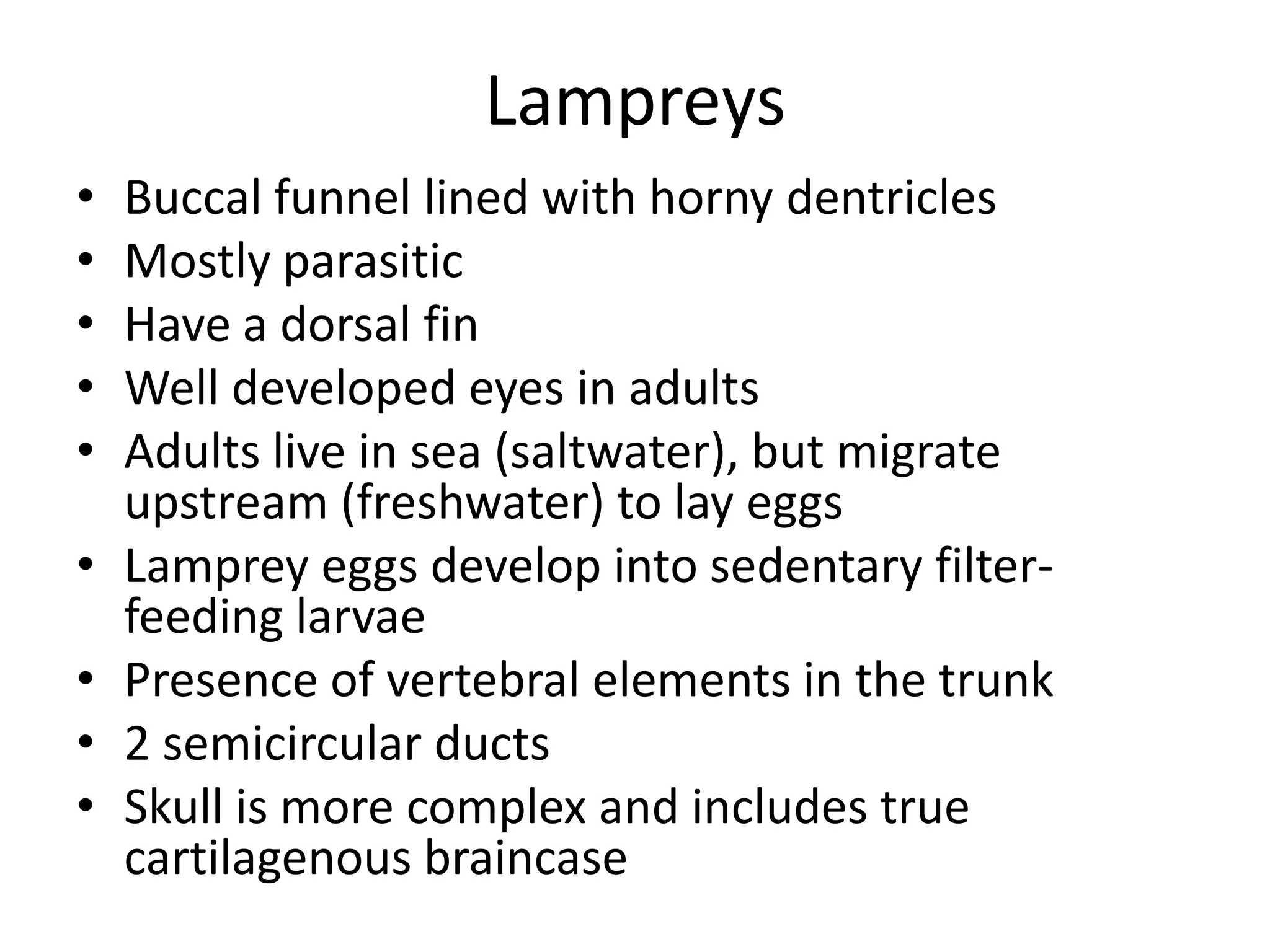 activity 3-lamprey | PPTX