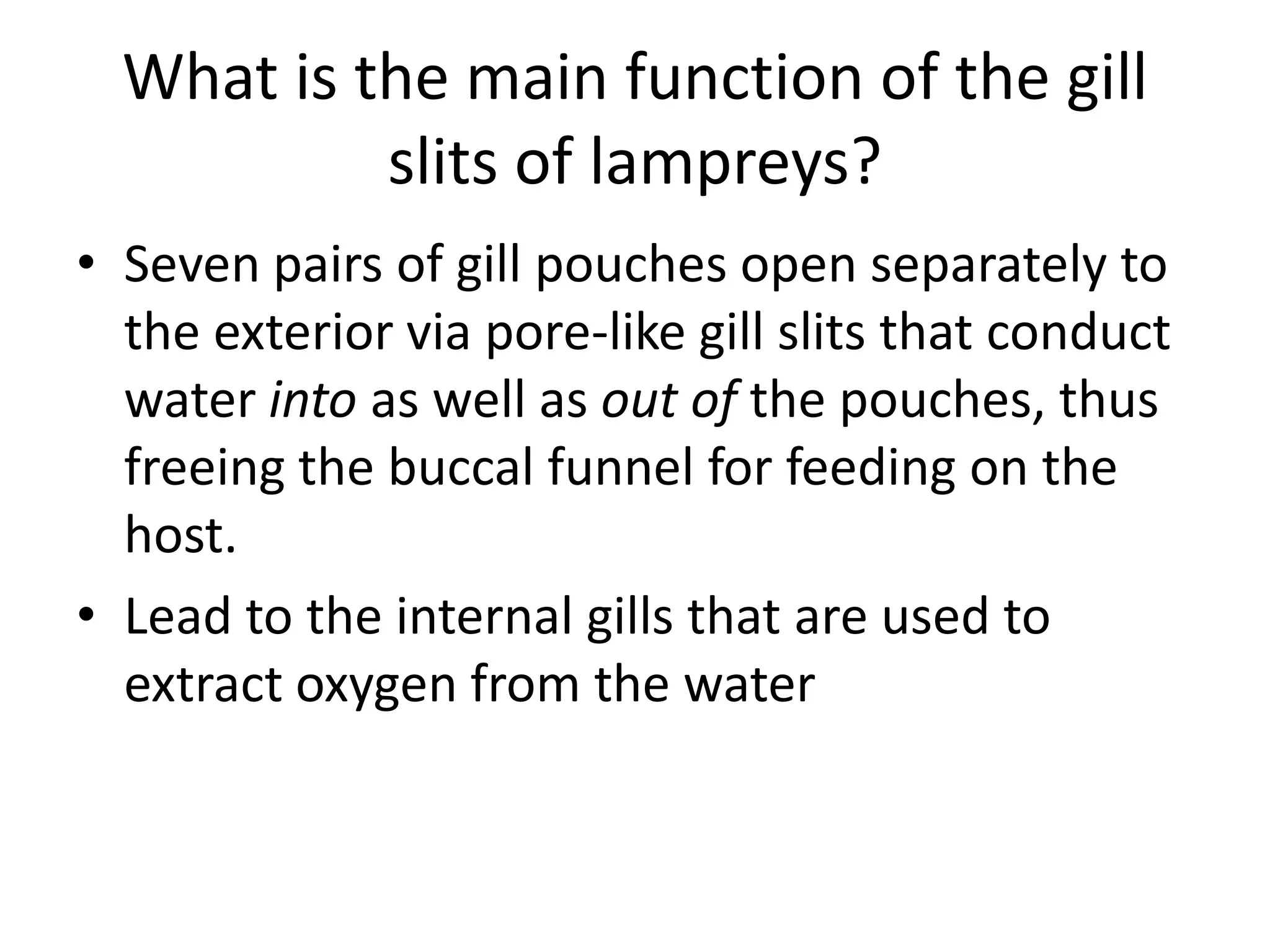 activity 3-lamprey | PPTX