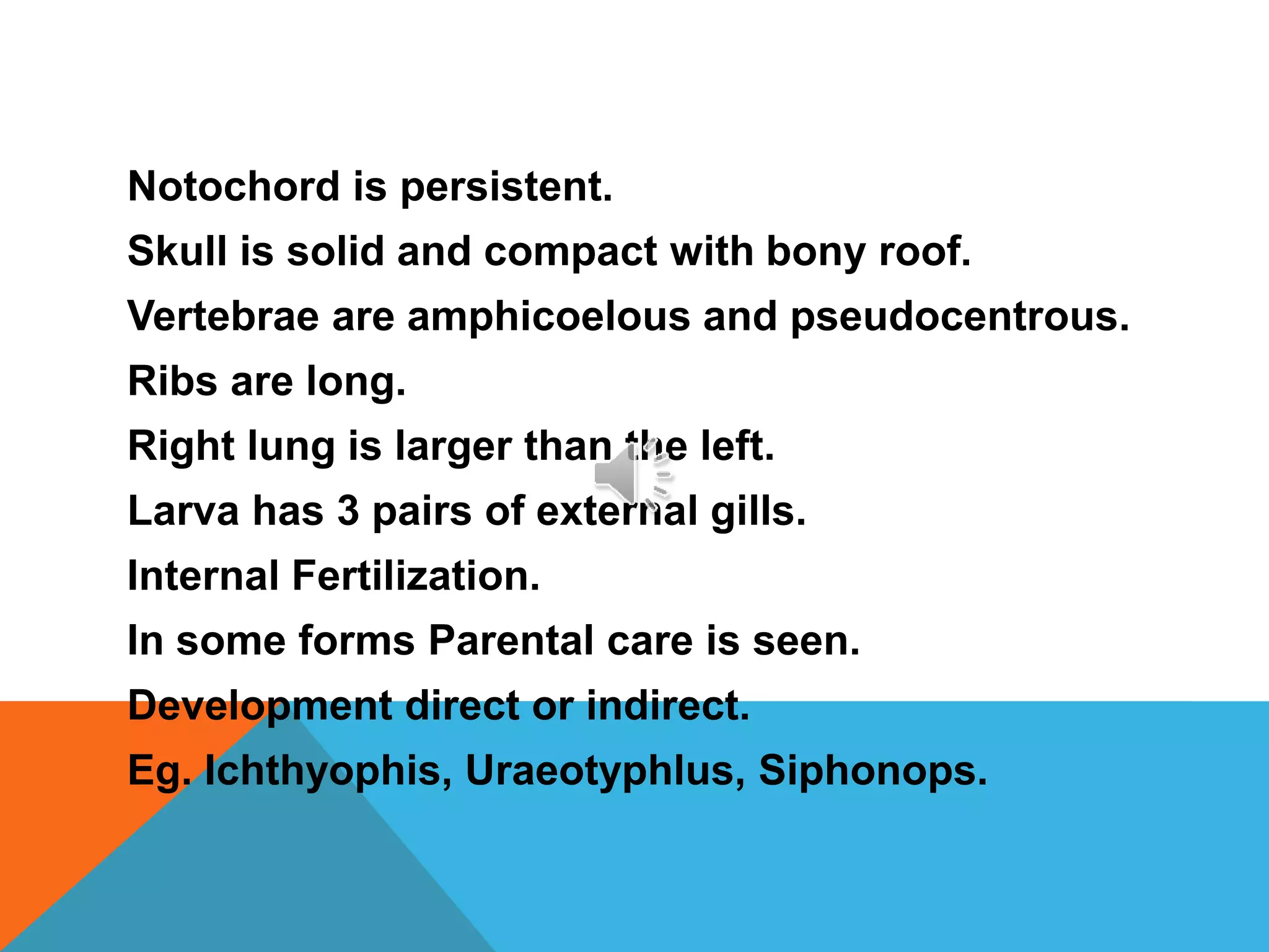 Class Amphibia | PPTX