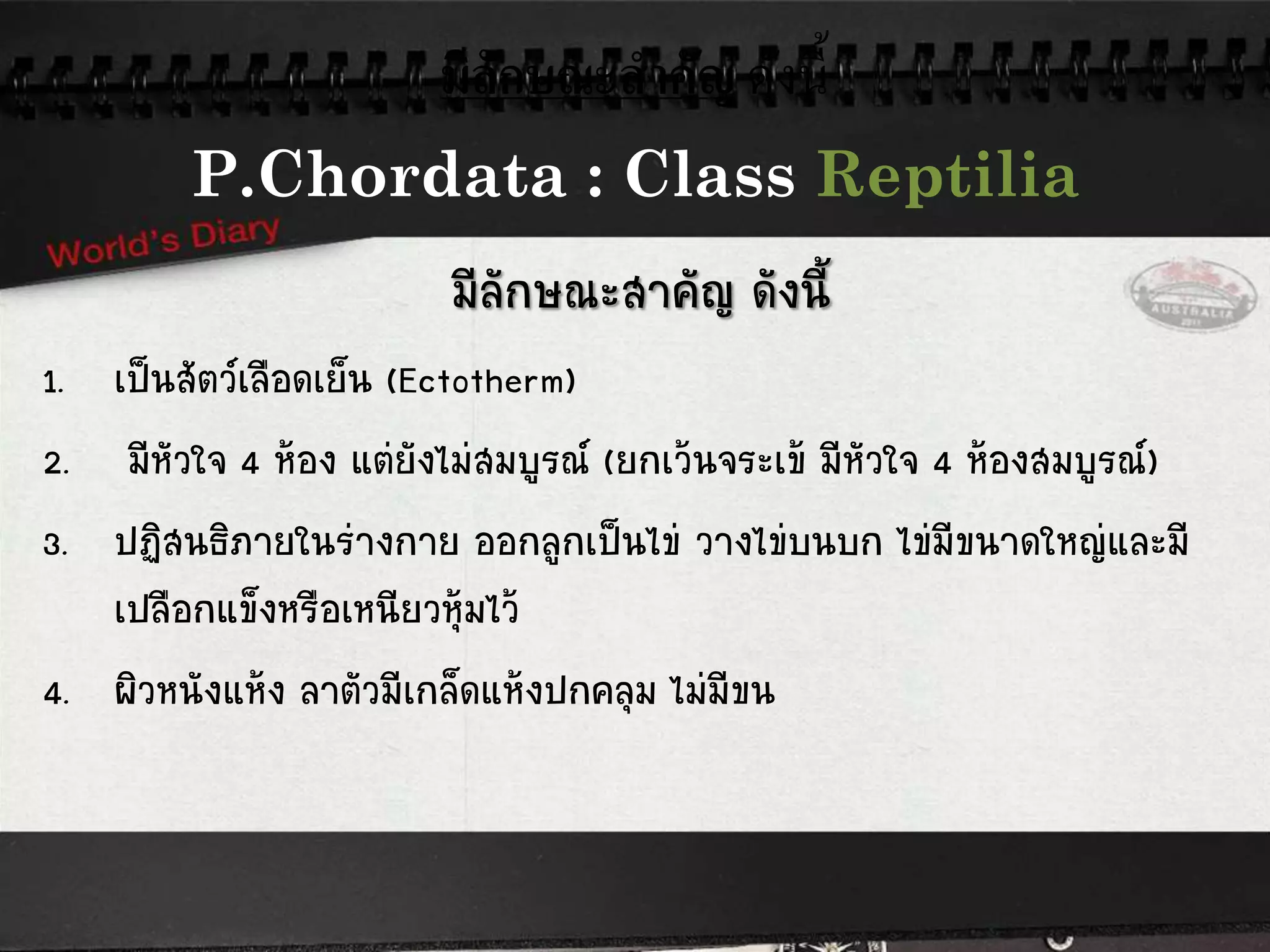 K. Animalia : P.Chordata : C.Amphibia+Reptilia+Aves(TH) | PPT