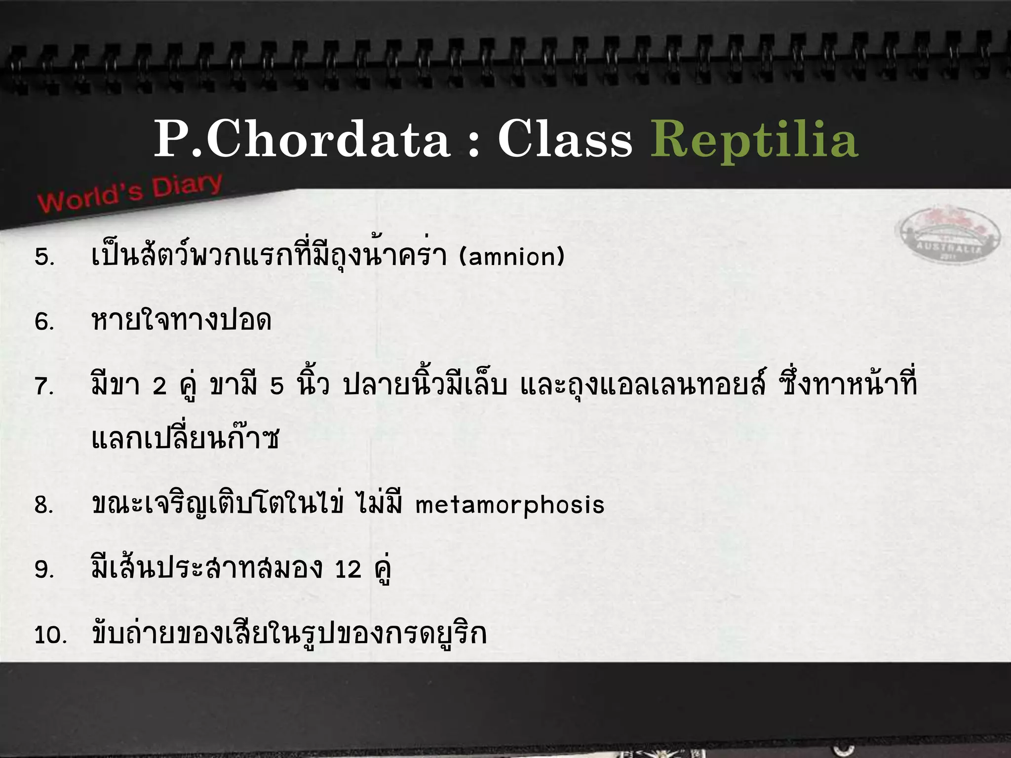 K. Animalia : P.Chordata : C.Amphibia+Reptilia+Aves(TH) | PPT