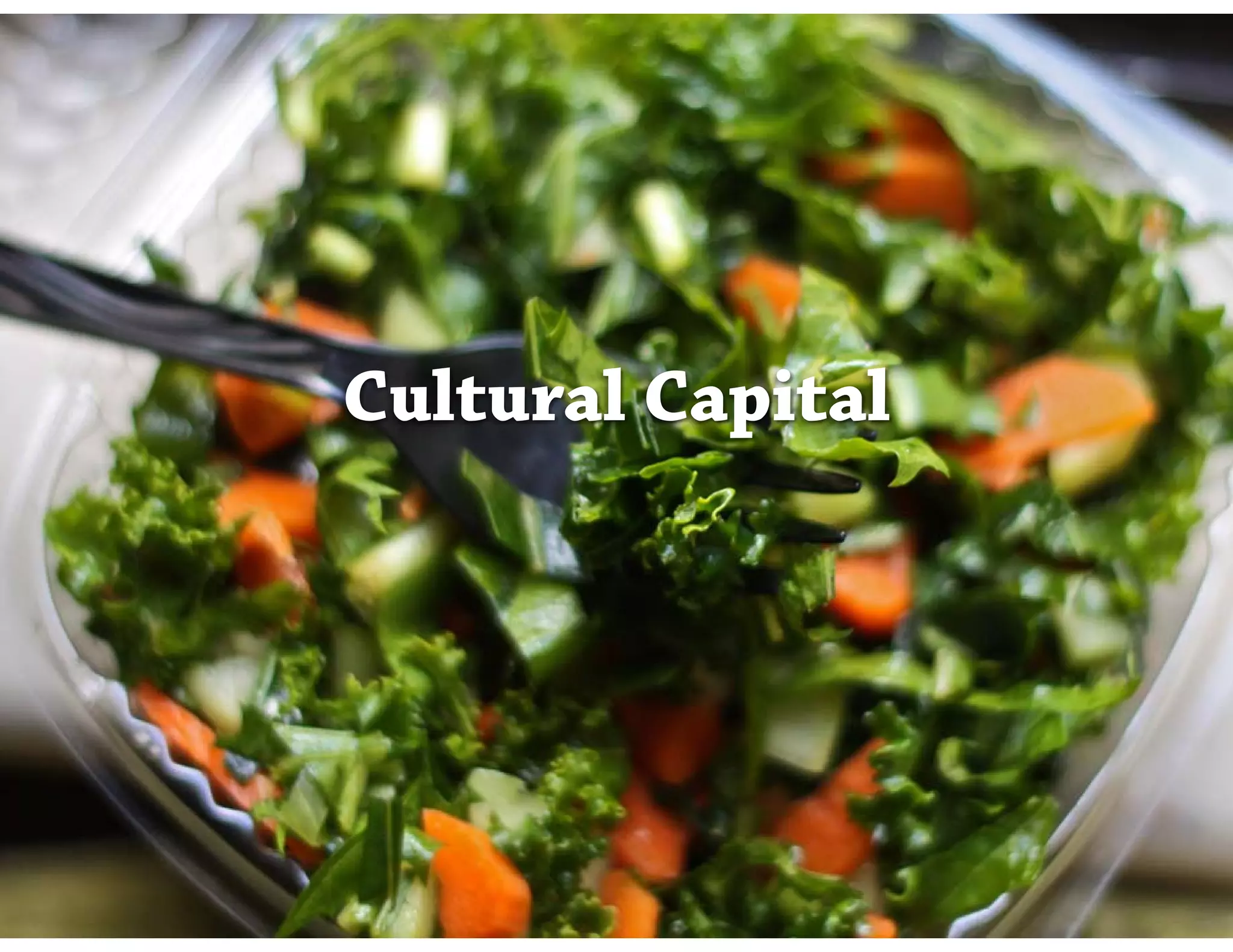 Class and Classism | PDF | Education