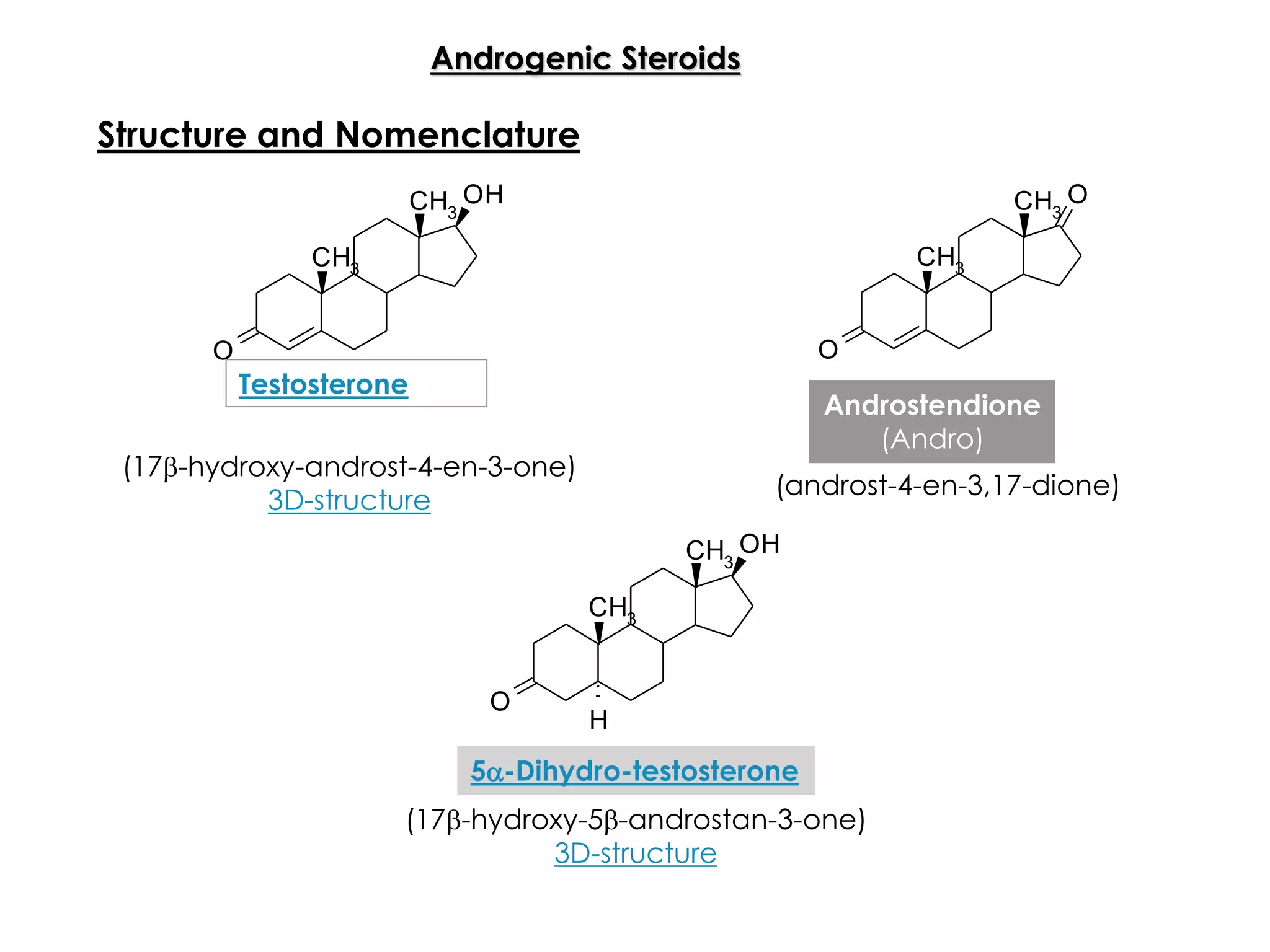 Class androgens | PPTX