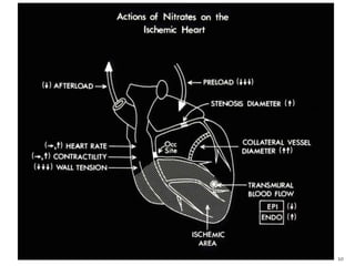 Class antianginal | PPT