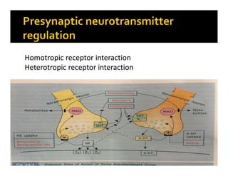 Class autonomic NERVOUS SYSTEM | PPT