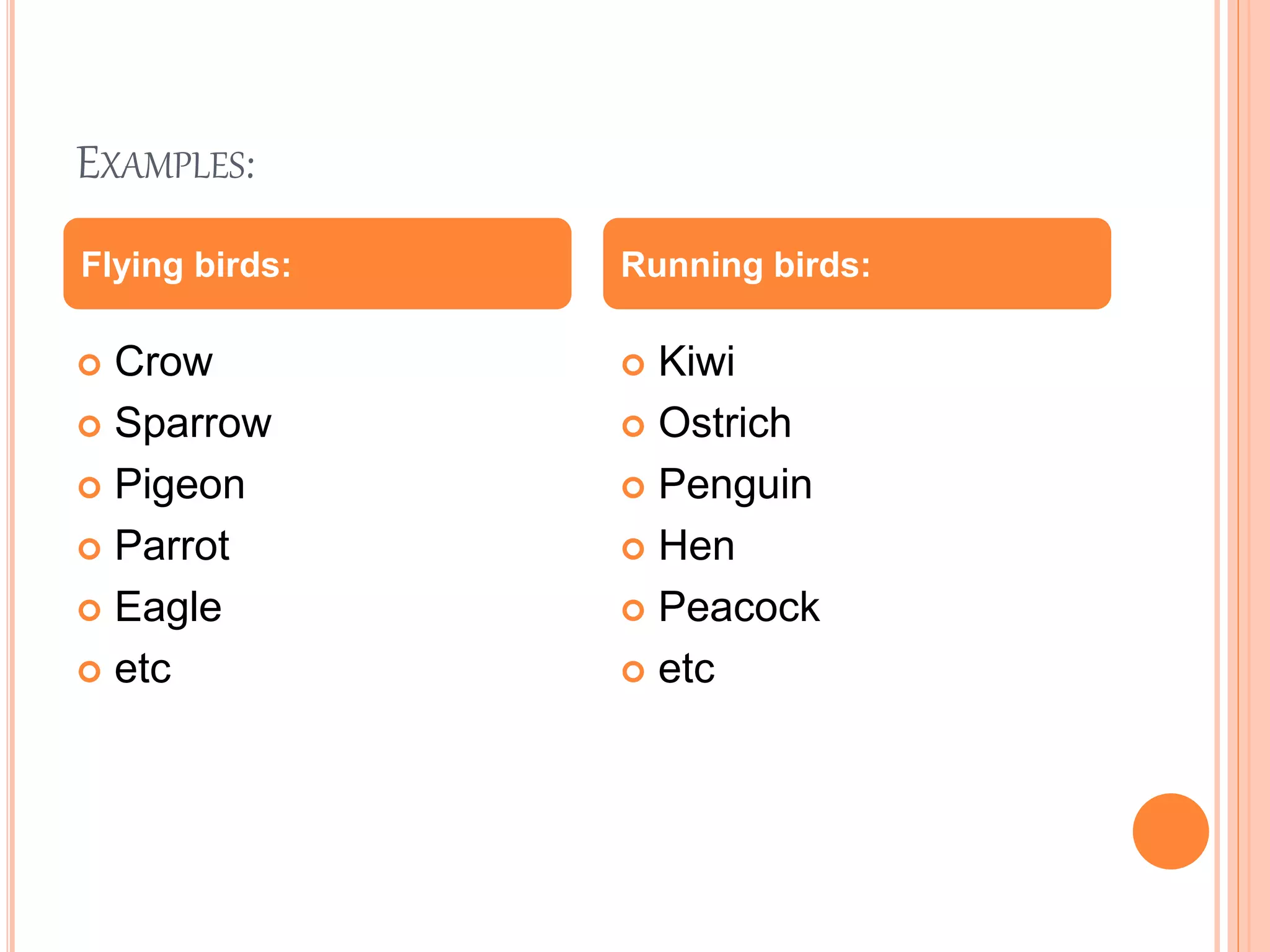 Class aves (birds) | PPTX