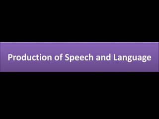 Production of Speech | PPT