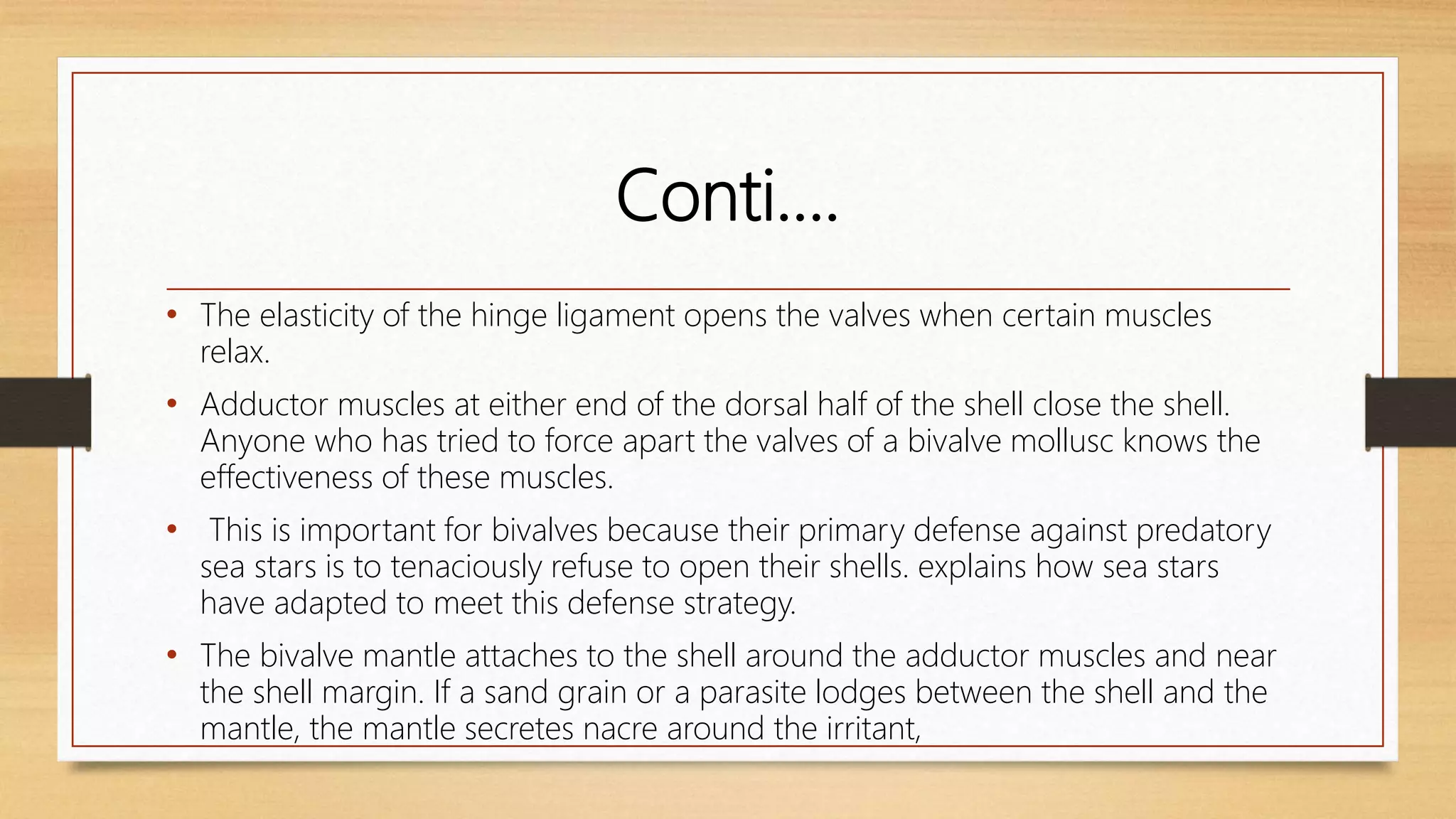 Class bivalvia | PPTX