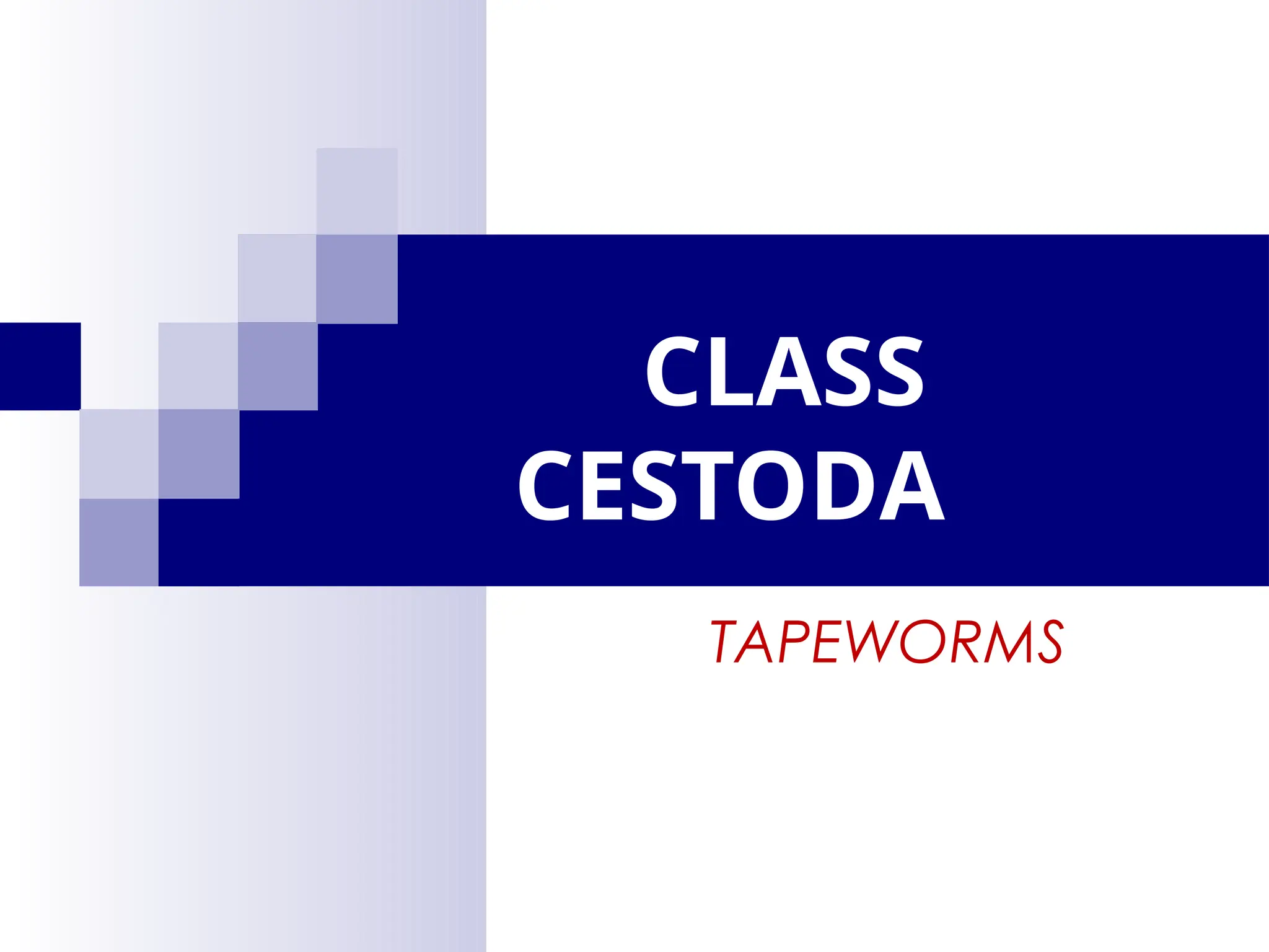 Class Cestoda.pptx Phylum Platyhelminthes | PPT