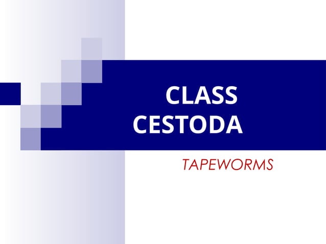 Class Cestoda.pptx Phylum Platyhelminthes | PPT