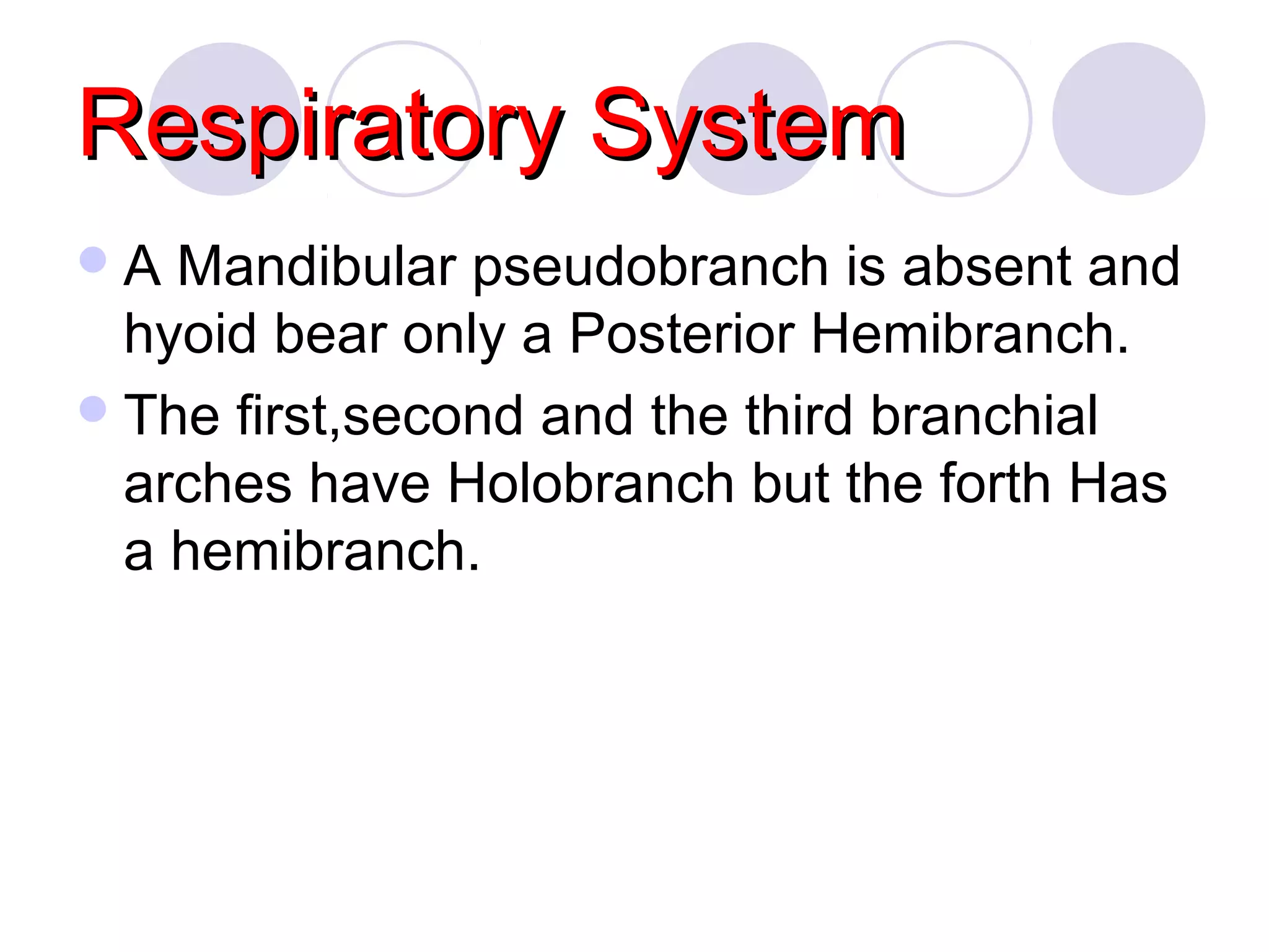 Class chondrichthyes zoorepowt(1) | PPT