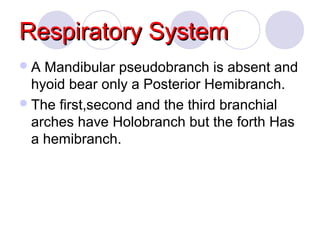 Class chondrichthyes zoorepowt(1) | PPT
