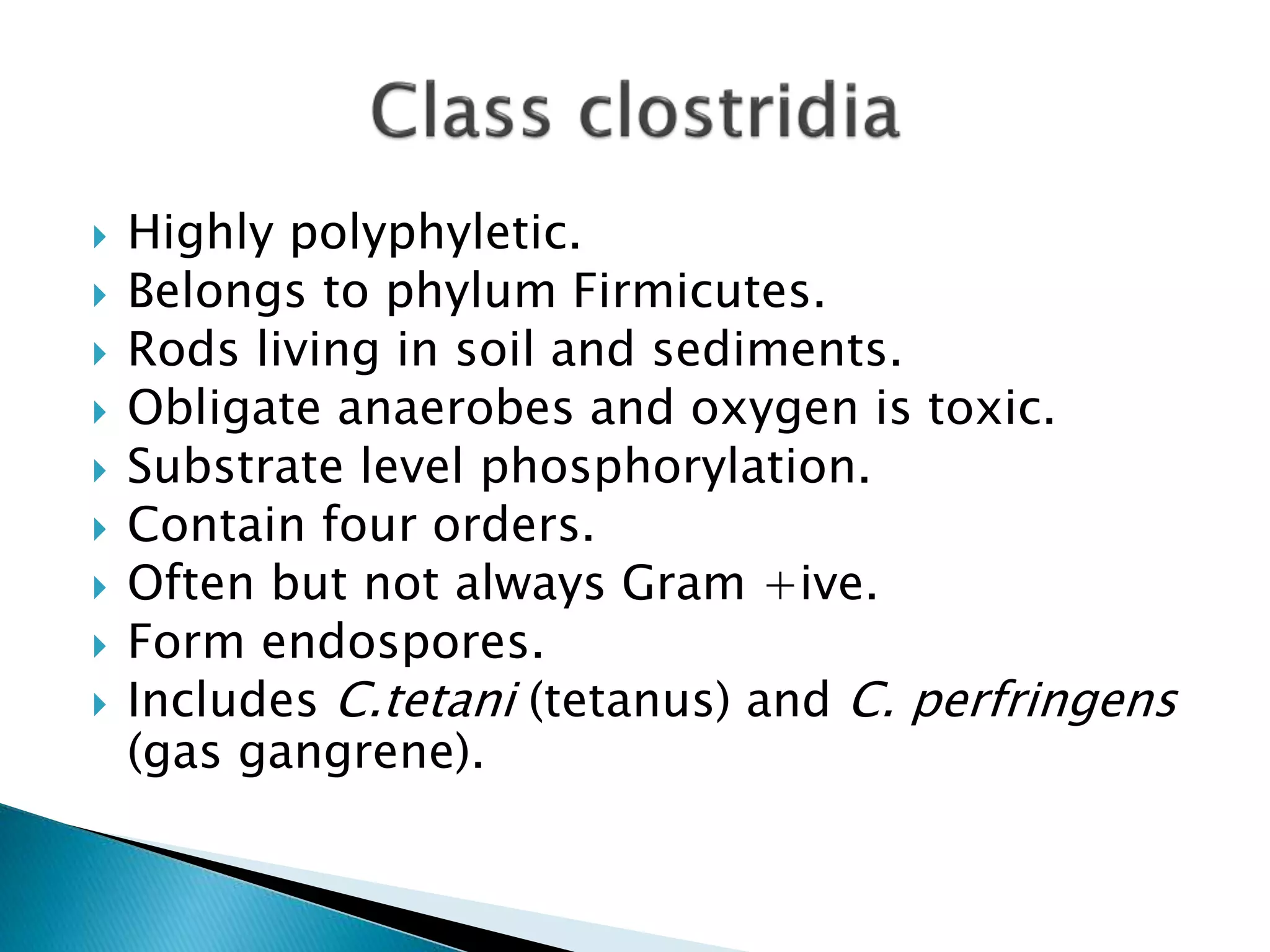 Class clostridia | PPTX
