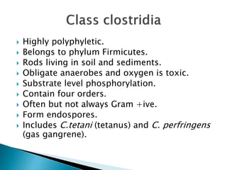 Class clostridia | PPTX | Chemistry | Science