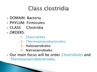 Class clostridia | PPTX | Chemistry | Science