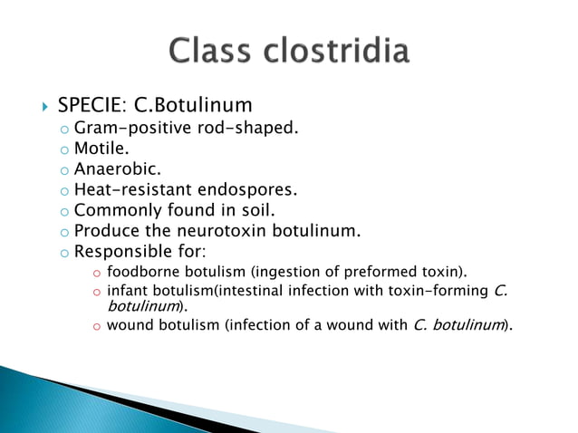 Class clostridia | PPTX