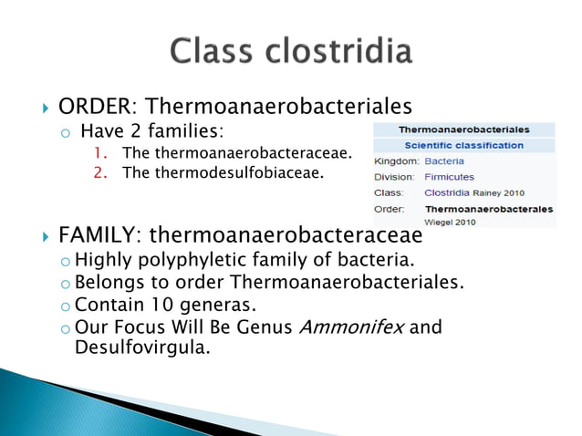 Class clostridia | PPTX