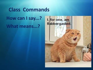 Class commands | PPTX | Education