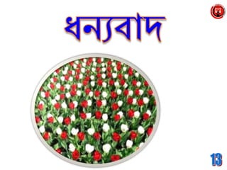 Class eight bangladesh & global studies chepter 2,lesson-3 | PPT