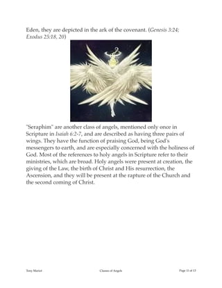 Classes of Angels | PDF