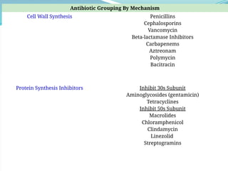 CLASSES OF ANTIBIOTICS AND THEIR MECHANISMS OF ACTION.pptx