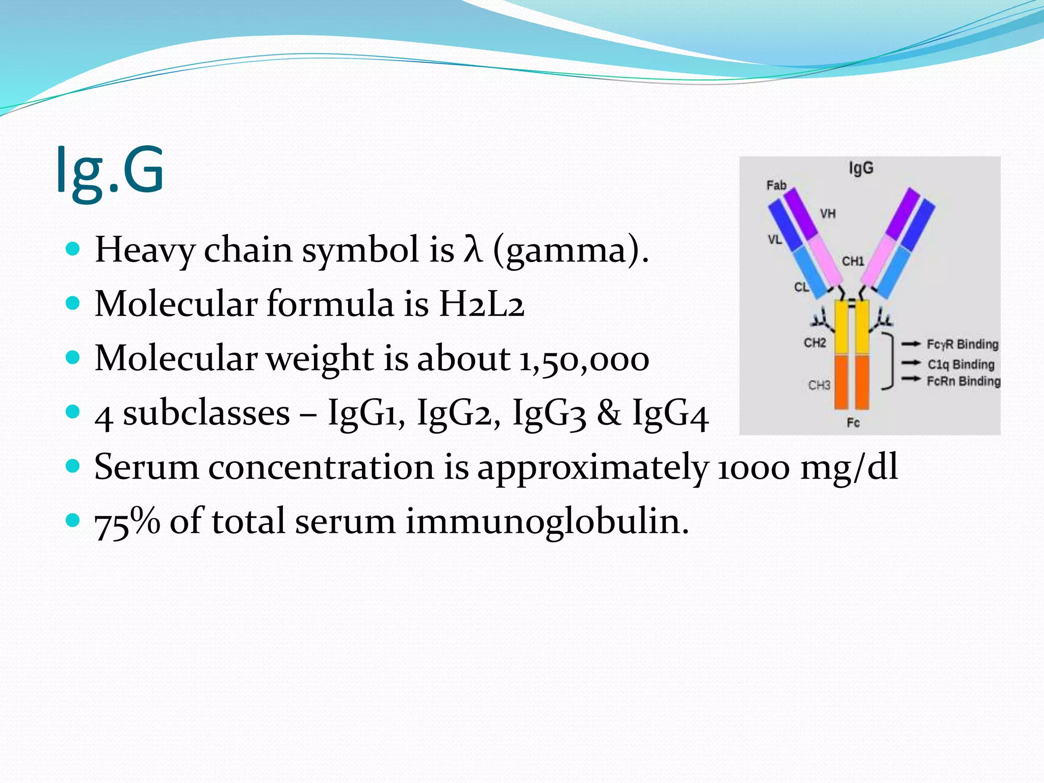 Classes of immunoglobulin | PPT