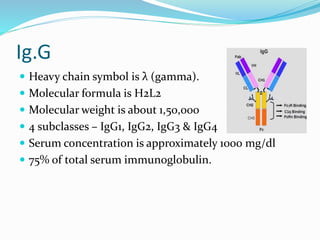 Classes of immunoglobulin | PPTX