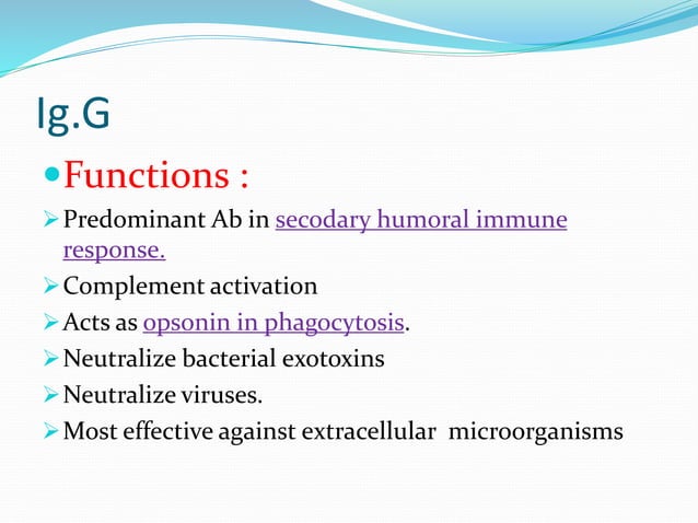 Classes of immunoglobulin | PPT